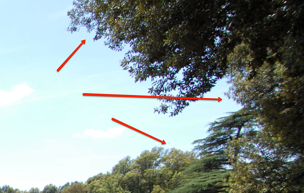 Ultimate Guide：Common Optical Defects in Camera Lens Systems - K&F CONCEPT