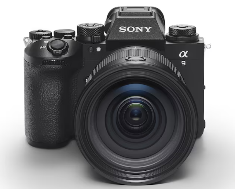 Best Camera For Wildlife Photography 2025: Complete Guide - K&F CONCEPT